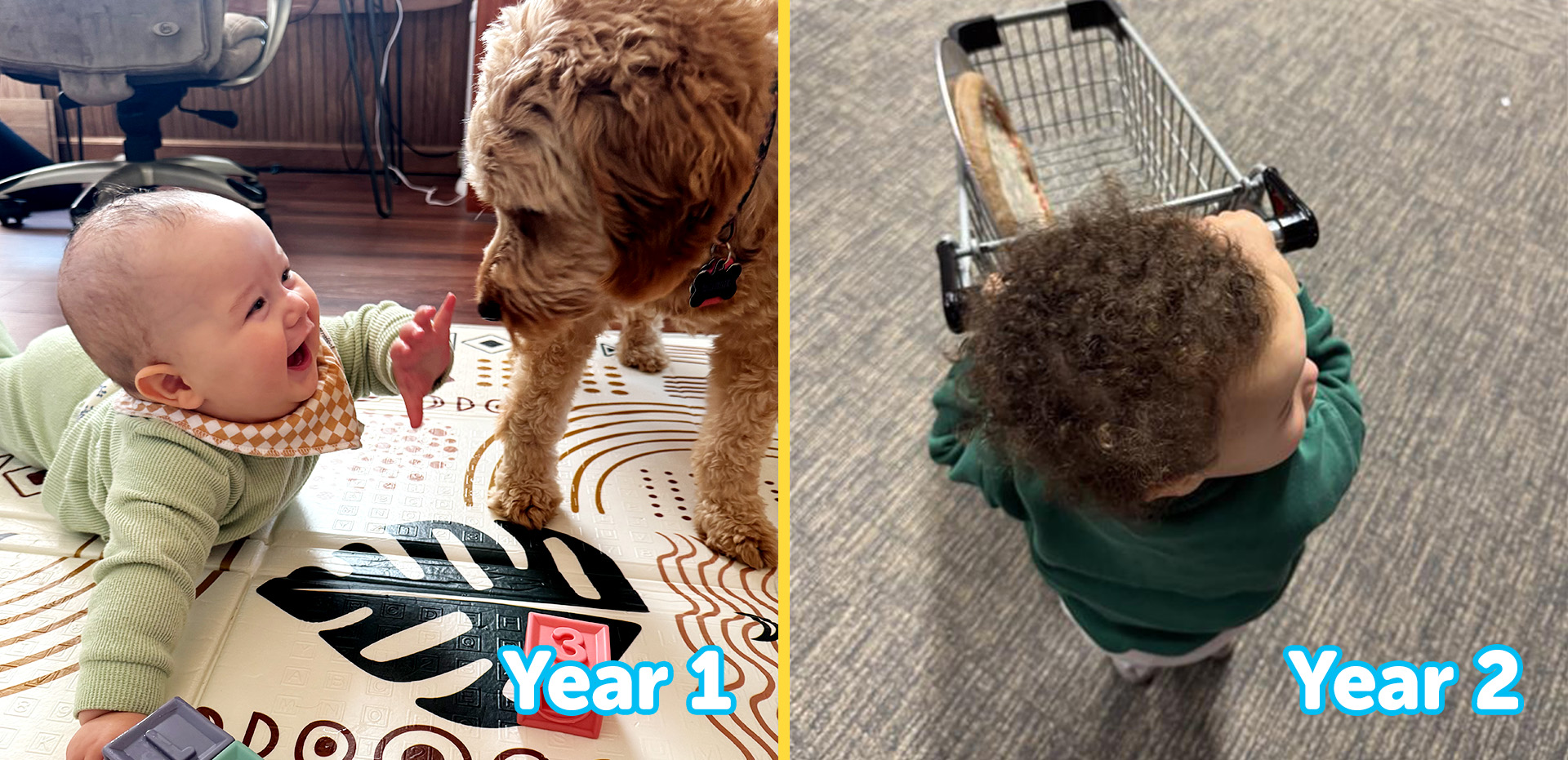 The Toddler Chronicles: Year Two and All Its Surprises - Doodle Bugs!